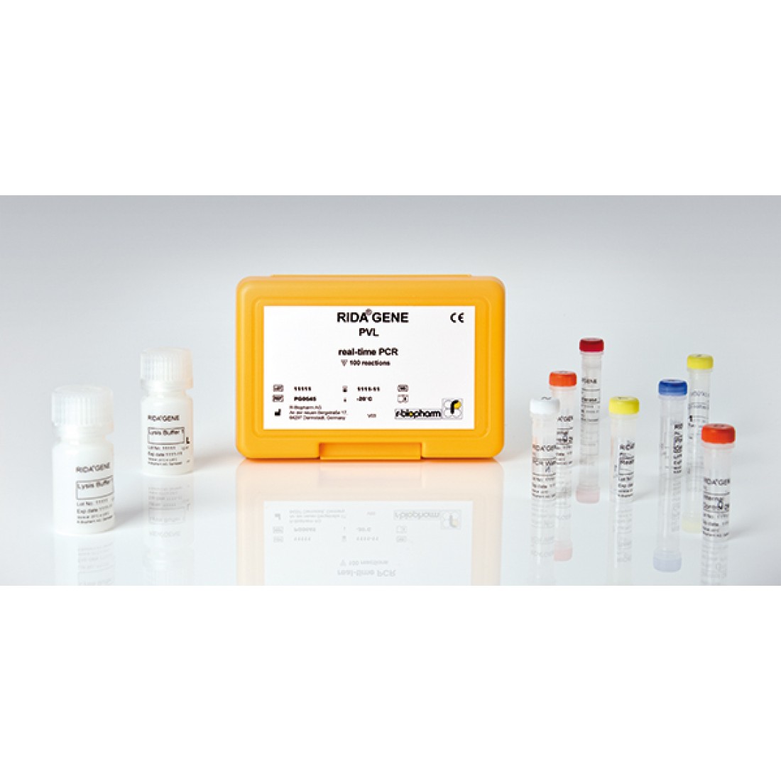 RIDA®GENE PVL - 100 Bestimmungen (qualitative detection of the PVL-gene ...