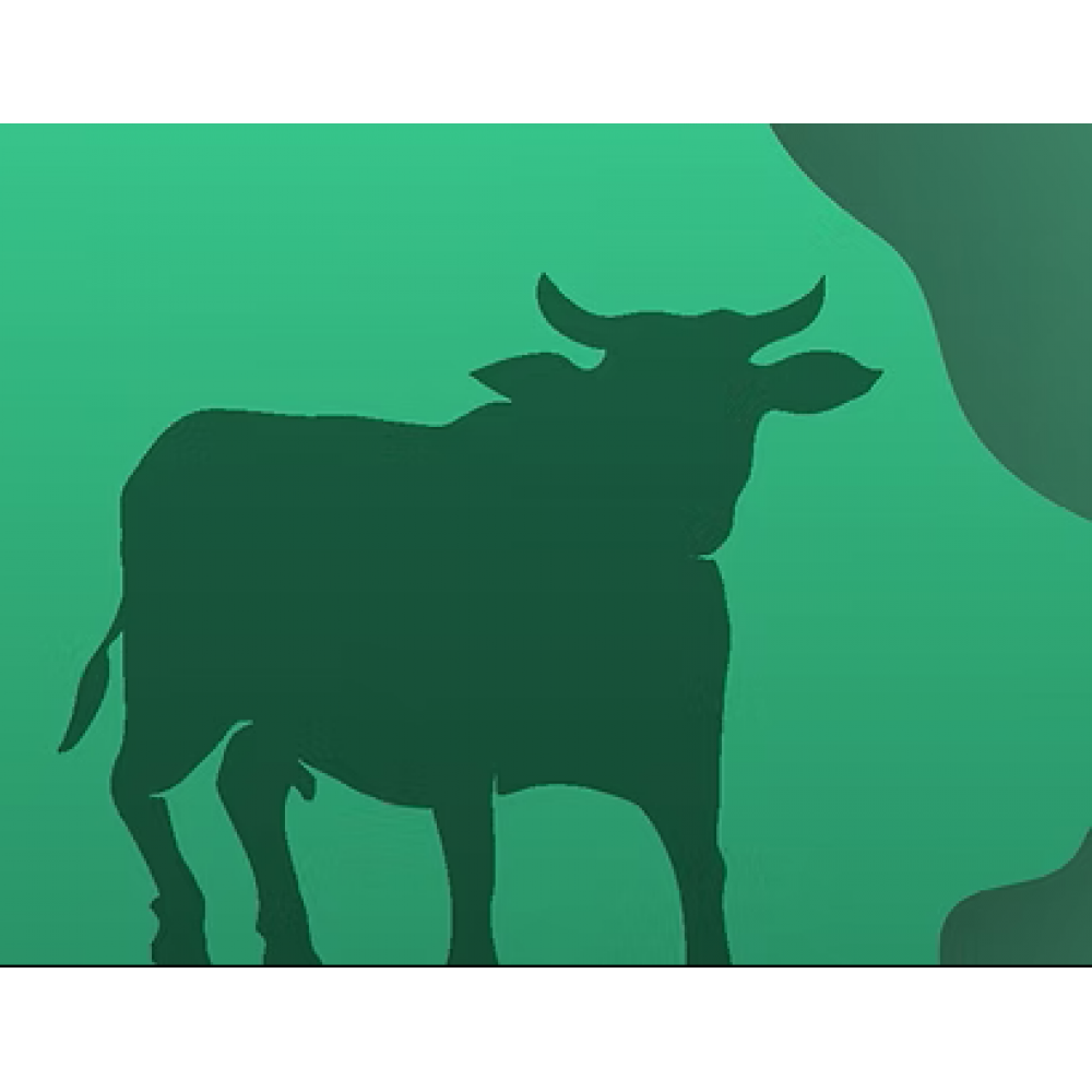 Bio-Speedy® Ruminant Gastrointestinal System Infections RT-qPCR Panel